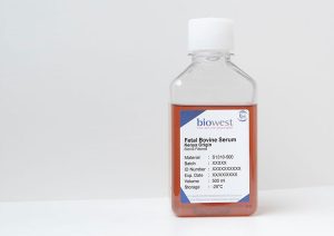 Dmem Cell Culture Medium: The Complete FAQ Guide In 2025 – AIPAK ...